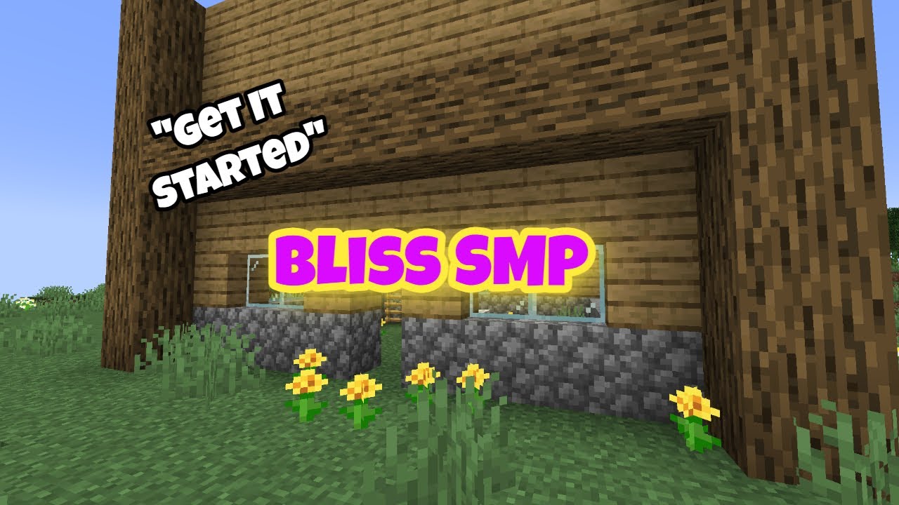 Bliss SMP - Episode #1 - Get It Started - YouTube