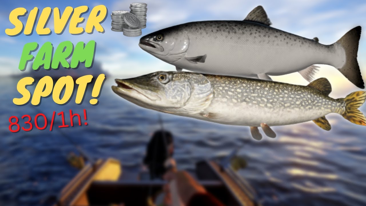SILVER FARM SPOT IN LADOGA ARCHIPELAGO! 830/1H! #596 Russian fishing 4 ...