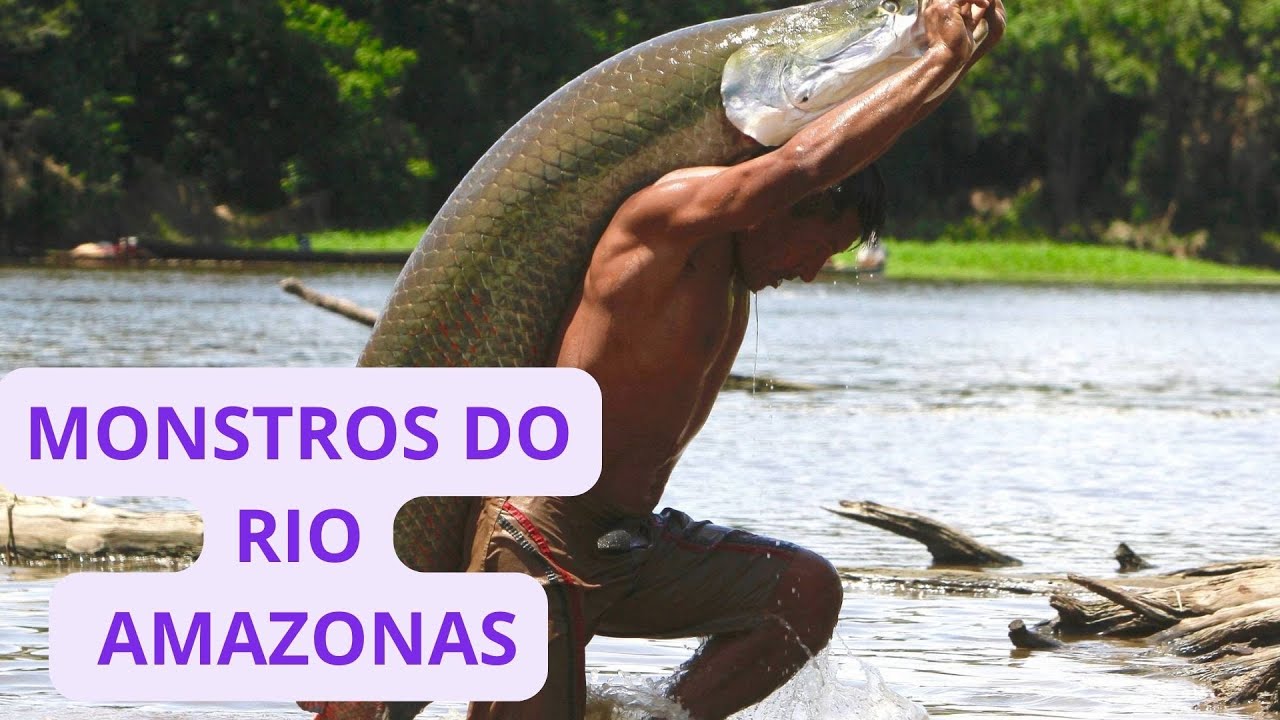 Monstros do Rio Amazonas!! Os maiores peixes deste fantástico Rio - YouTube