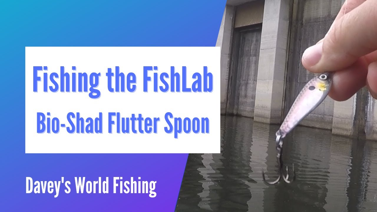 Fishing the FishLab Bio-Shad Finesse Jig - You Never Know What Will Bite - YouTube