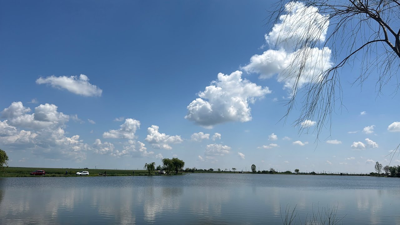 Balta Oarja, pescuit și relaxare, caras 🐟 🌞🐕🌫 - YouTube