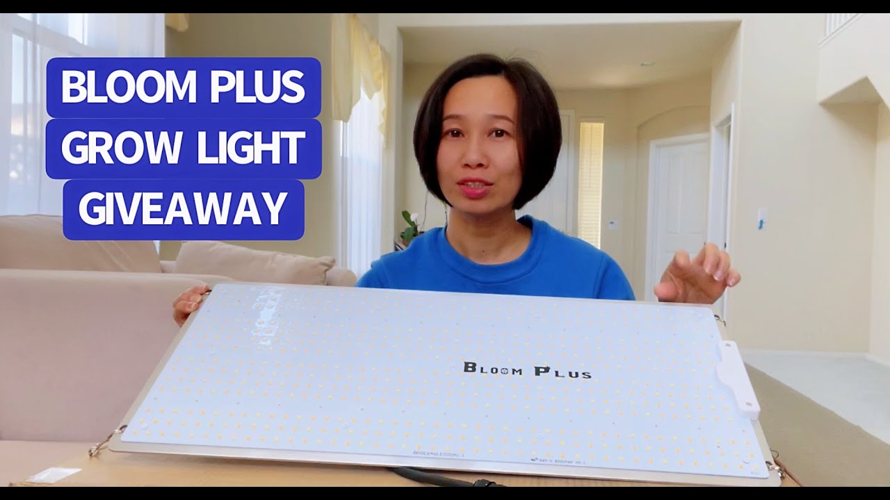 BLOOM PLUS GROW LIGHT GIVEAWAY | GROWING SUCCULENT UNDER GROW LIGHT ...