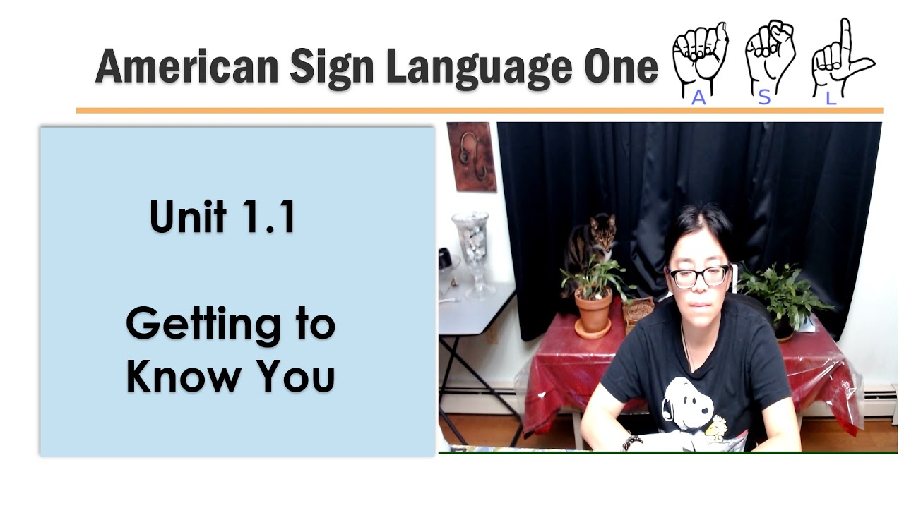 Signing Naturally Unit 1.1 Get to Know you - YouTube