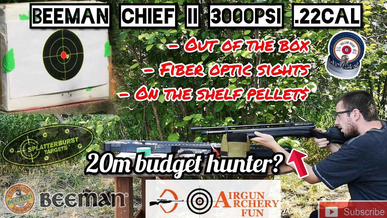 Beeman Chief II Plus-S 3000PSI - Shooting 20m with open sights & "cheap ...