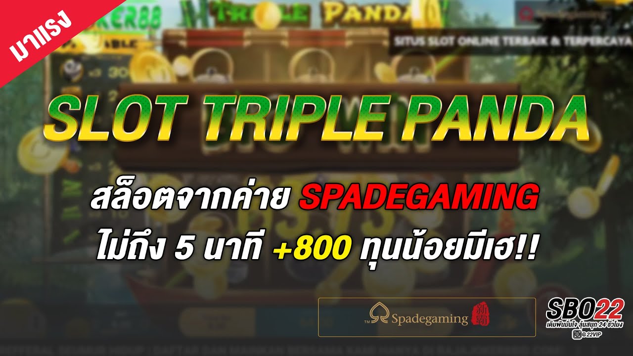 สล็อต SLOT TRIPLE PANDA | ไม่ถึง 5 นาที +800 ทุนน้อยมีเฮ - YouTube