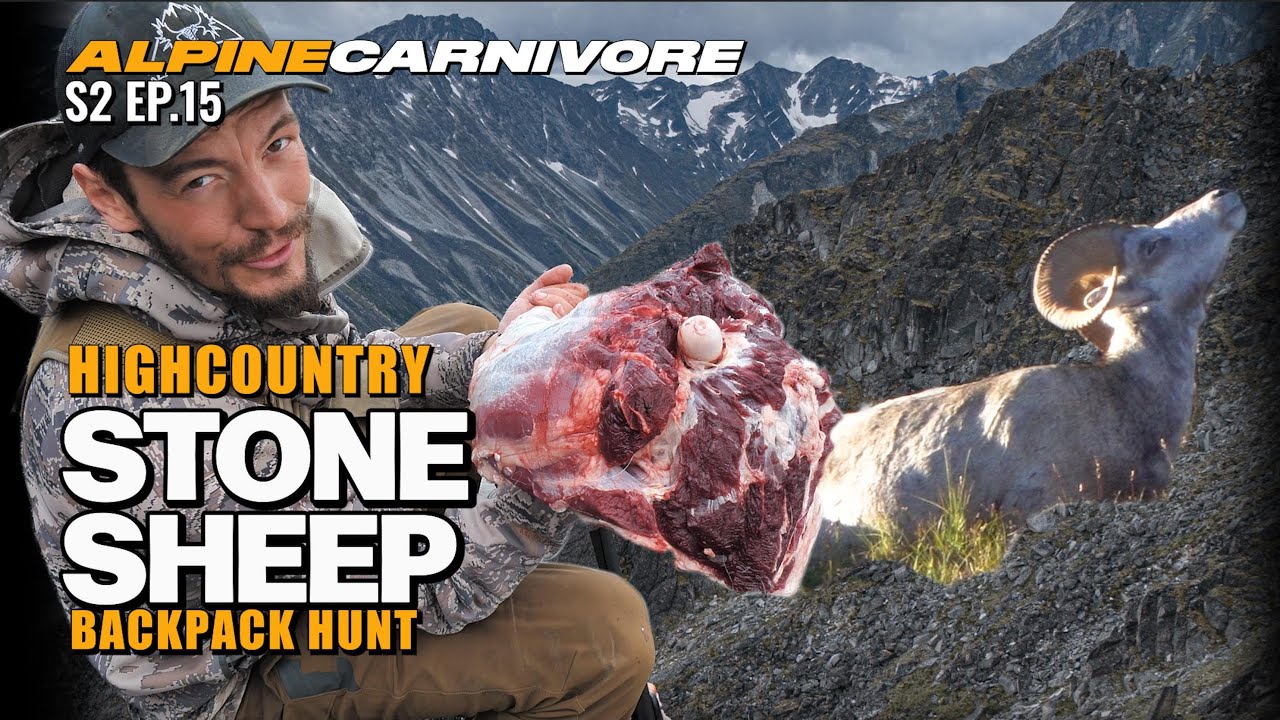 DIY STONE SHEEP HUNT | (21 KM) LONG PACK OUT | NORTHERN BC - YouTube