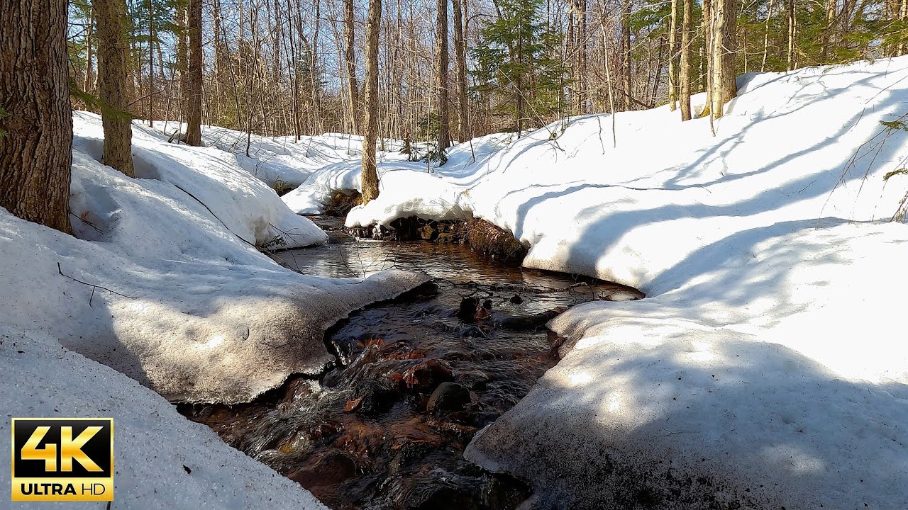 Winter River Scene & Sound of Flowing Water | 4K - YouTube