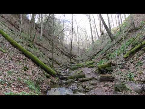 Six Ravine Challenge at Shades State Park - YouTube