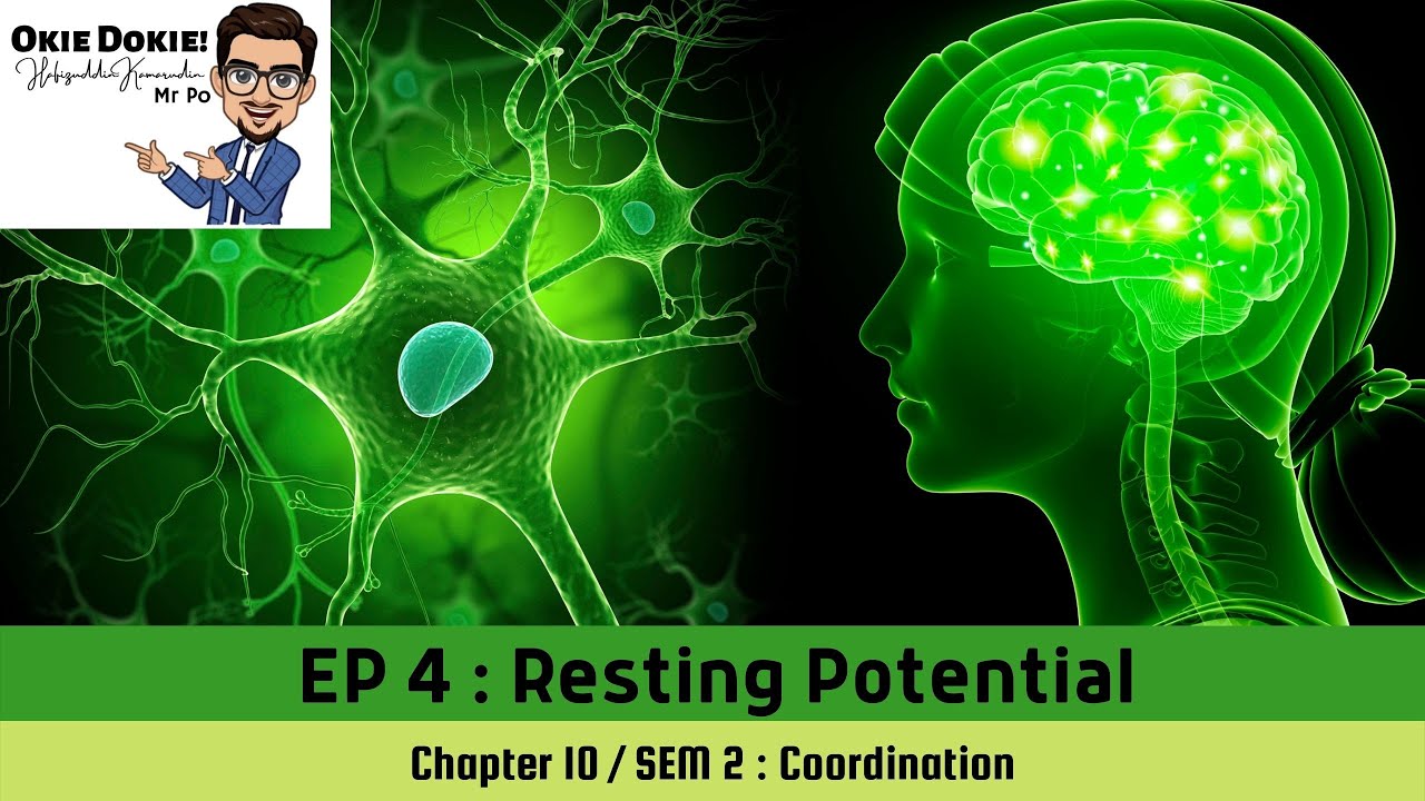 Chapter 10 EP 4 / Sem 2 : Resting Potential (Matriculation Biology ...