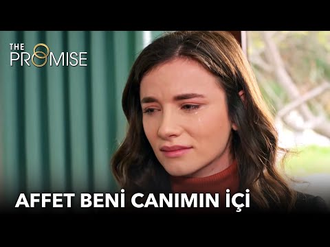 Affet beni canımın içi  | Yemin 343. Bölüm