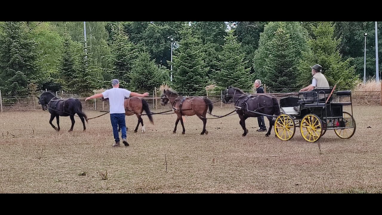 Le QUADREM d'Emmanuel VANTROYS - YouTube