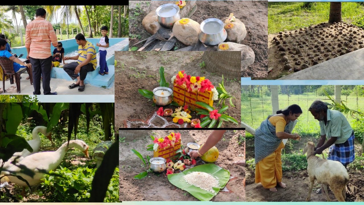 After long years we did muneshwara pooja in our farm house /Family time ...