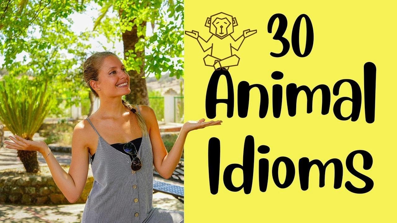 Animal idioms and expressions in English - YouTube