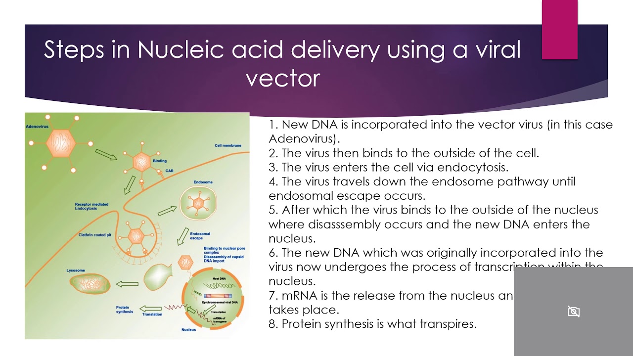Nucleic Acid Delivery for Disease Therapy - YouTube