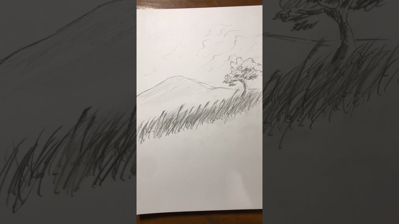 Easy to draw reed grass - YouTube