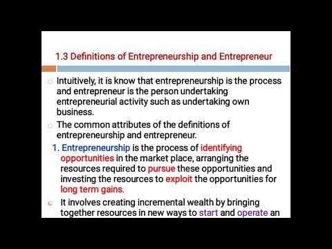 Entrepreneurship freshman chapter 1 - YouTube