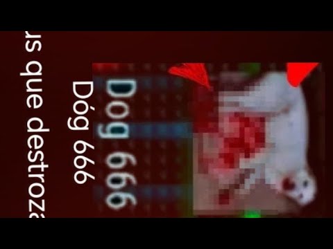 caso del "dóg 666" el virus que destrozaba tu celular, especial 134 ...