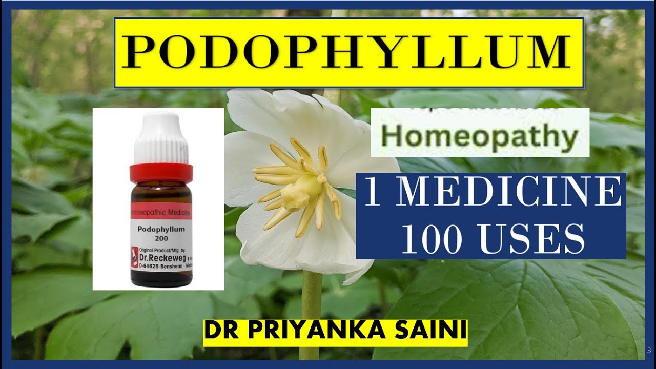 Podophyllum Peltatum: Homeopathic Medicine ||1 med 100 uses|rectal ...