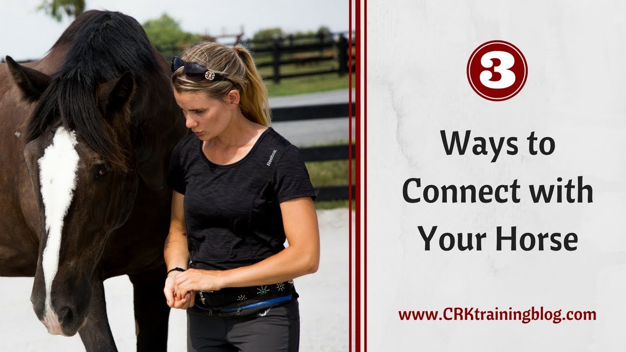 3 Ways to Connect with Your Horse - YouTube