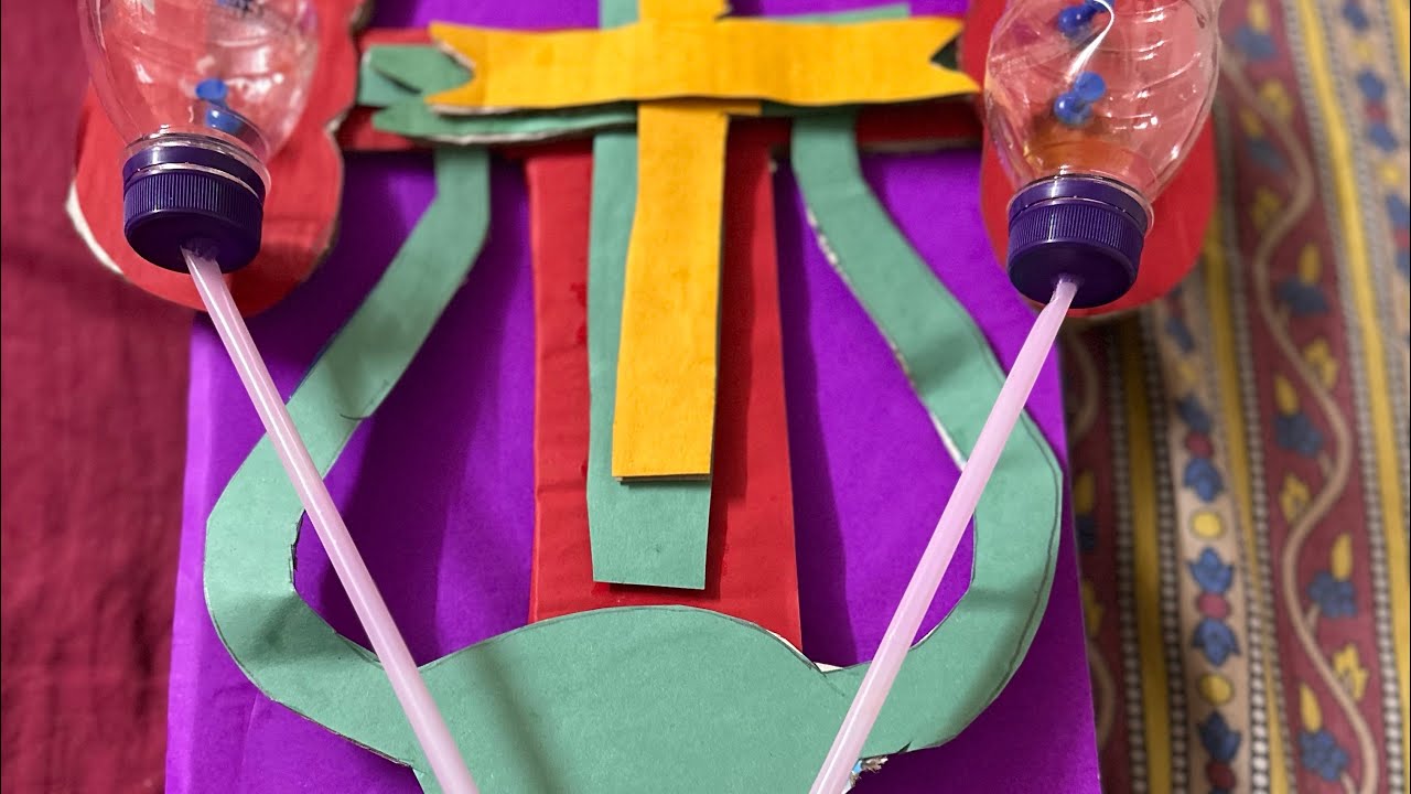 DIY kidney model for School Project| kidney model - YouTube