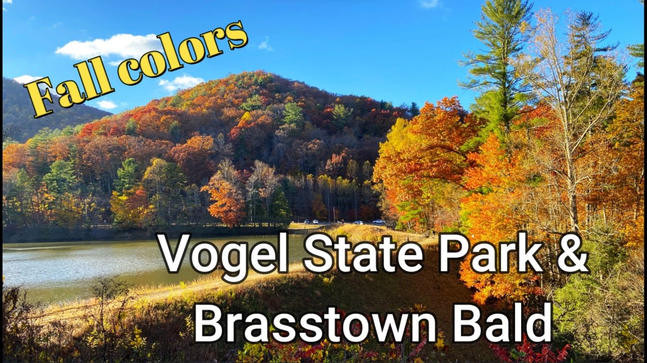 Vogel State Park & Brasstown Bald Fall colors - YouTube