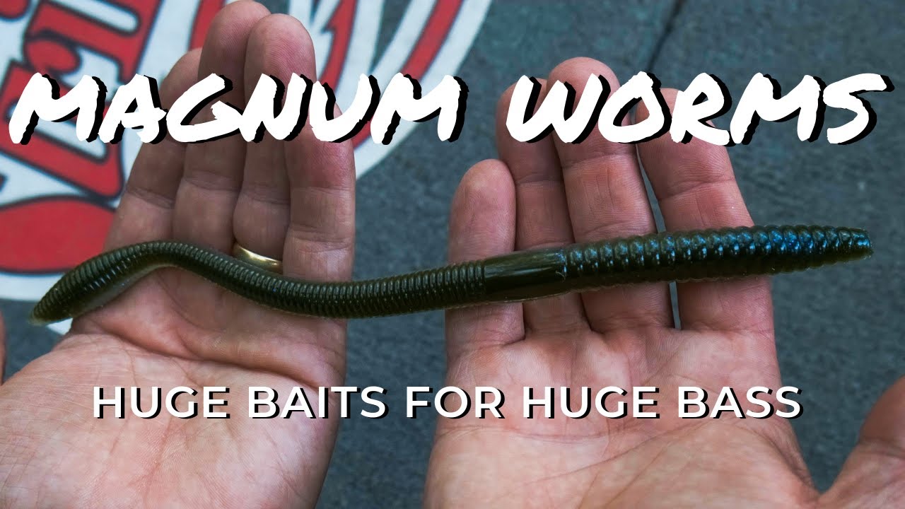 Secret to Catch Giant Summer Bass - Giant Worms - YouTube