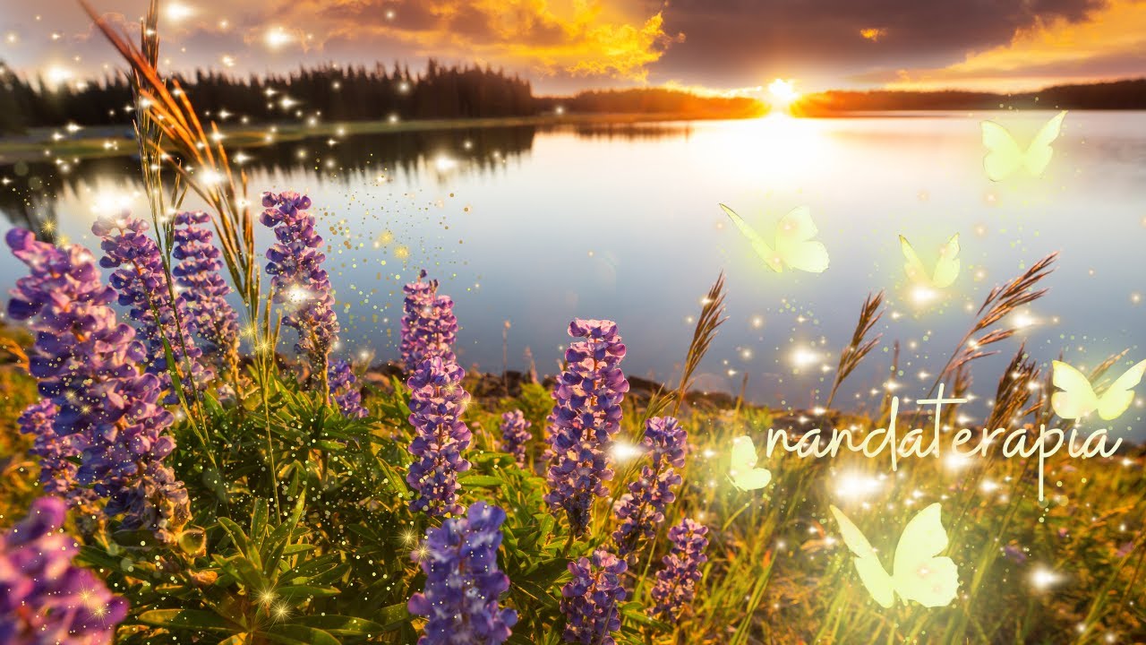 Sons da natureza e músicas calmantes. Paisagens naturais e sons ...