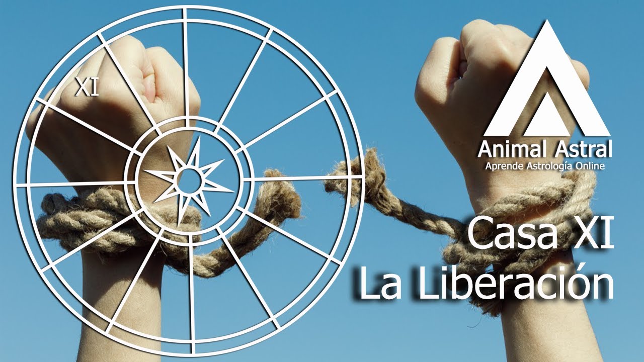 Casa XI. Aprende astrología online en Animal Astral - YouTube