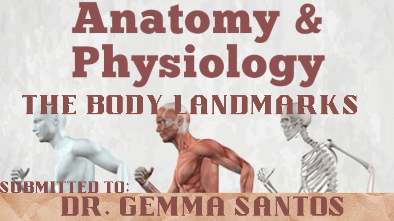 Anatomy and Physiology : "The Body Landmarks" - YouTube