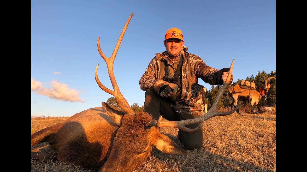 Mike's elk hunt with pack goats - YouTube