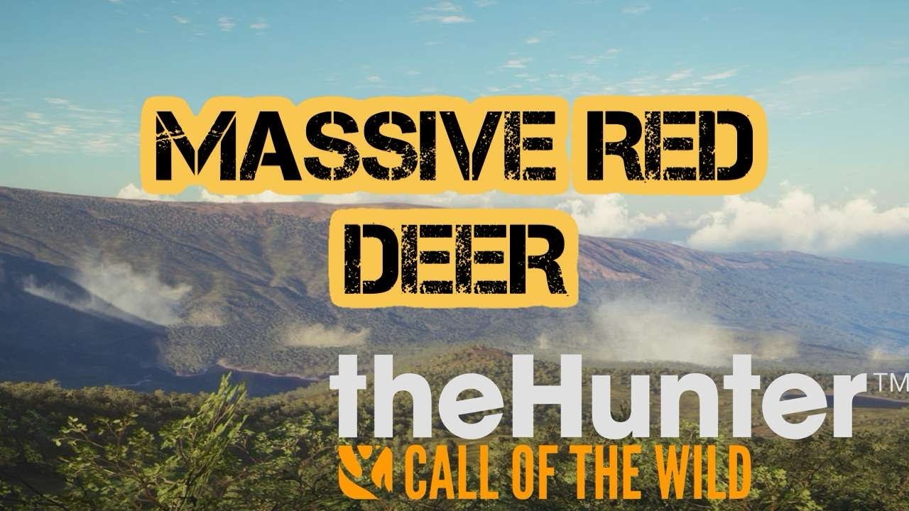 COTW: THE BIGGEST RED DEER I’VE EVER SEEN - YouTube