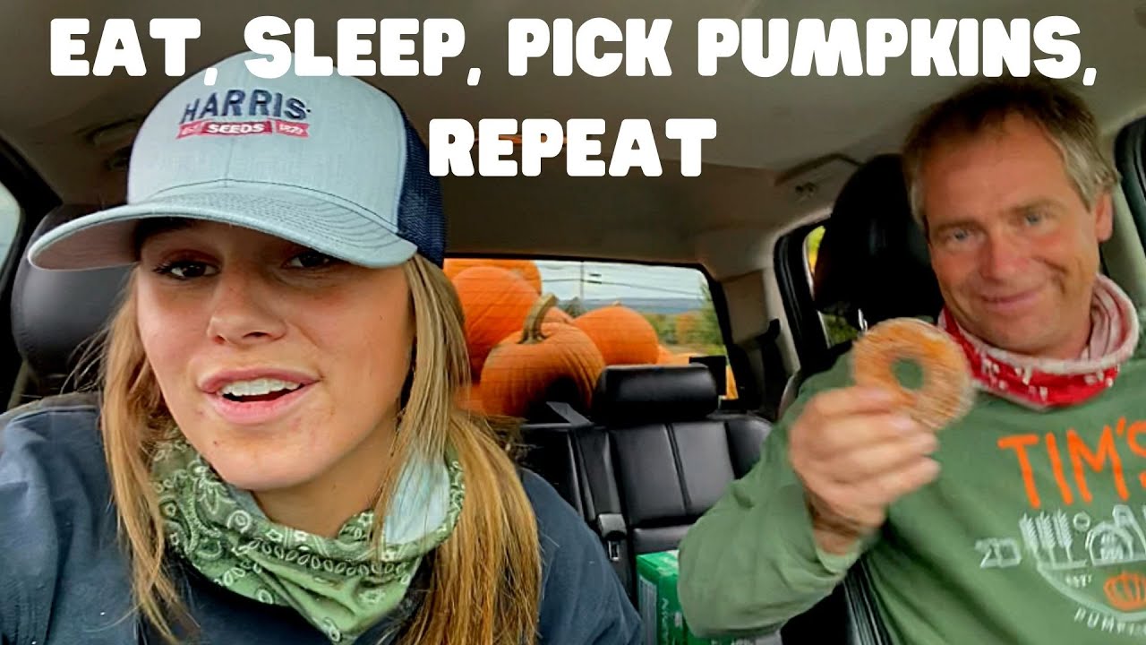 THE DYNAMIC DUO BACK AT WORK - YouTube