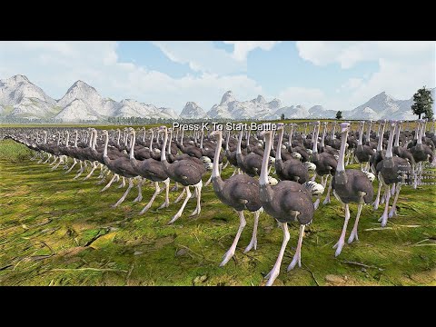 The Great Ostrich War of the 18th Century! | Ultimate Epic Battle ...