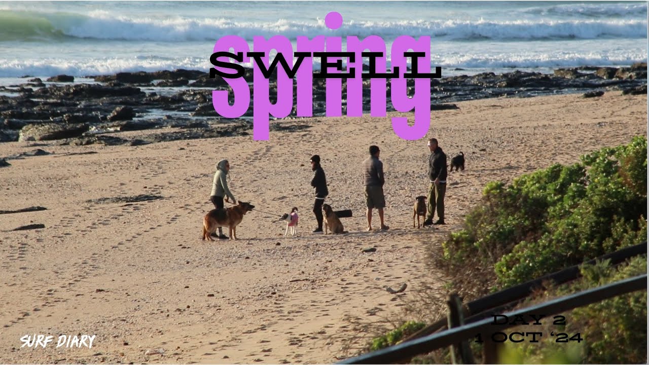 DAY 2 OF OUR FIRST SWELL OF SPRING - YouTube