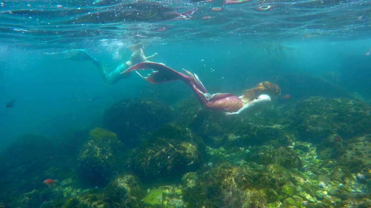 Real Live Mermaids of Catalina - YouTube
