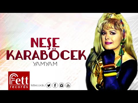 Neşe Karaböcek - Acaipsin