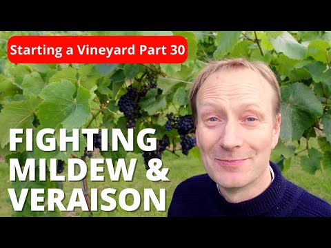 What Does Closed Harvest Season Mean