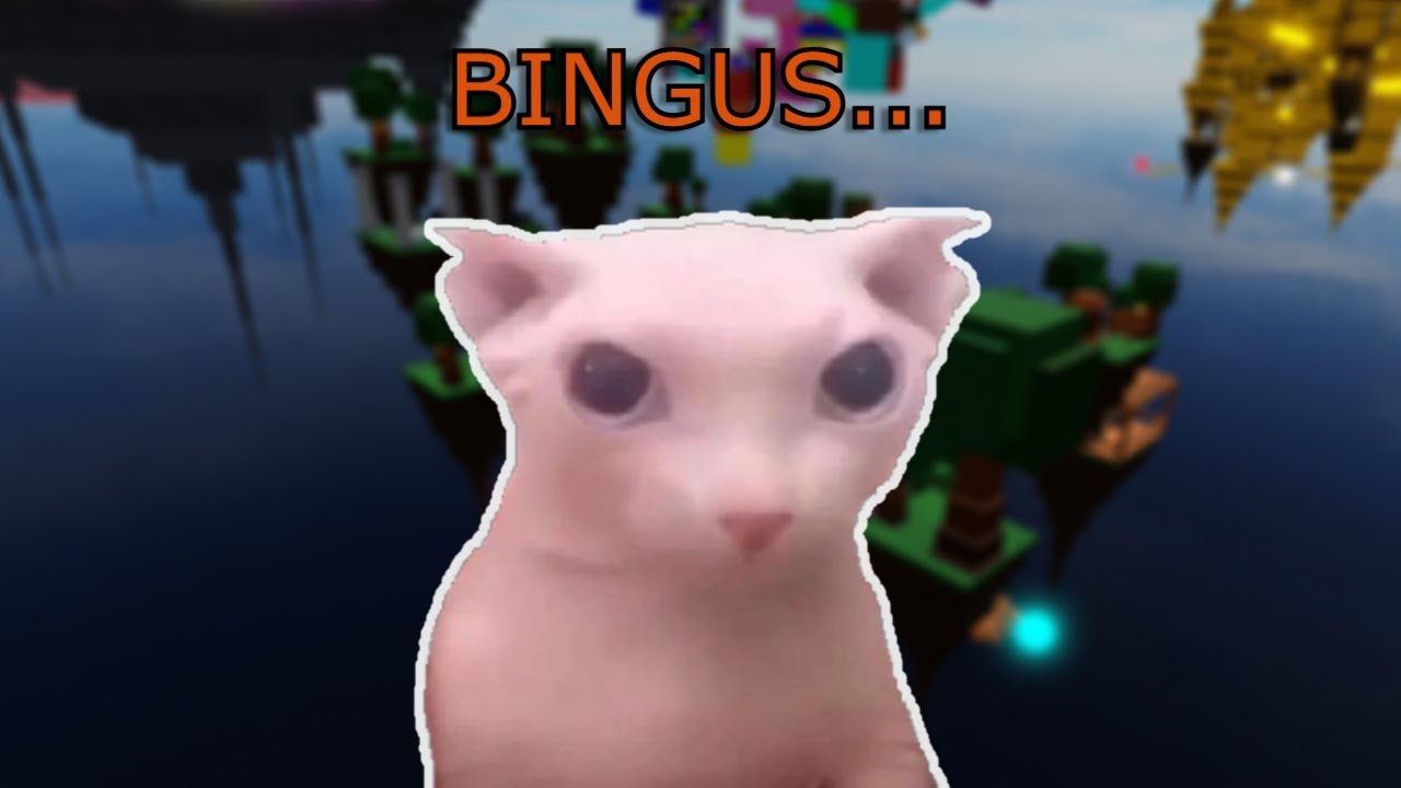 FINDING BINGUS.. | Find the Binguses - Part 1 - YouTube