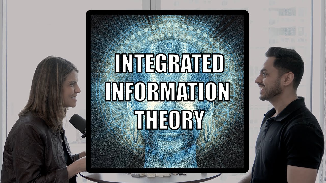 How Integrated Information Theory Explains Consciousness - YouTube