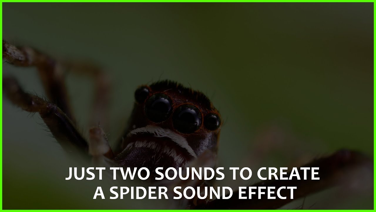 Creating a sound effect of a spider hiding with just two layers - YouTube