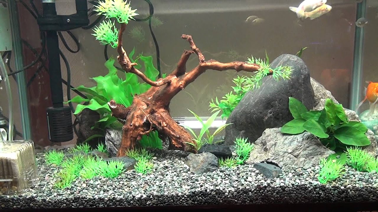 Pecera HD-1 - YouTube