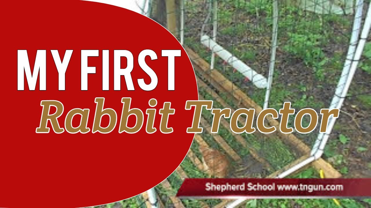 My First Rabbit Tractor - YouTube