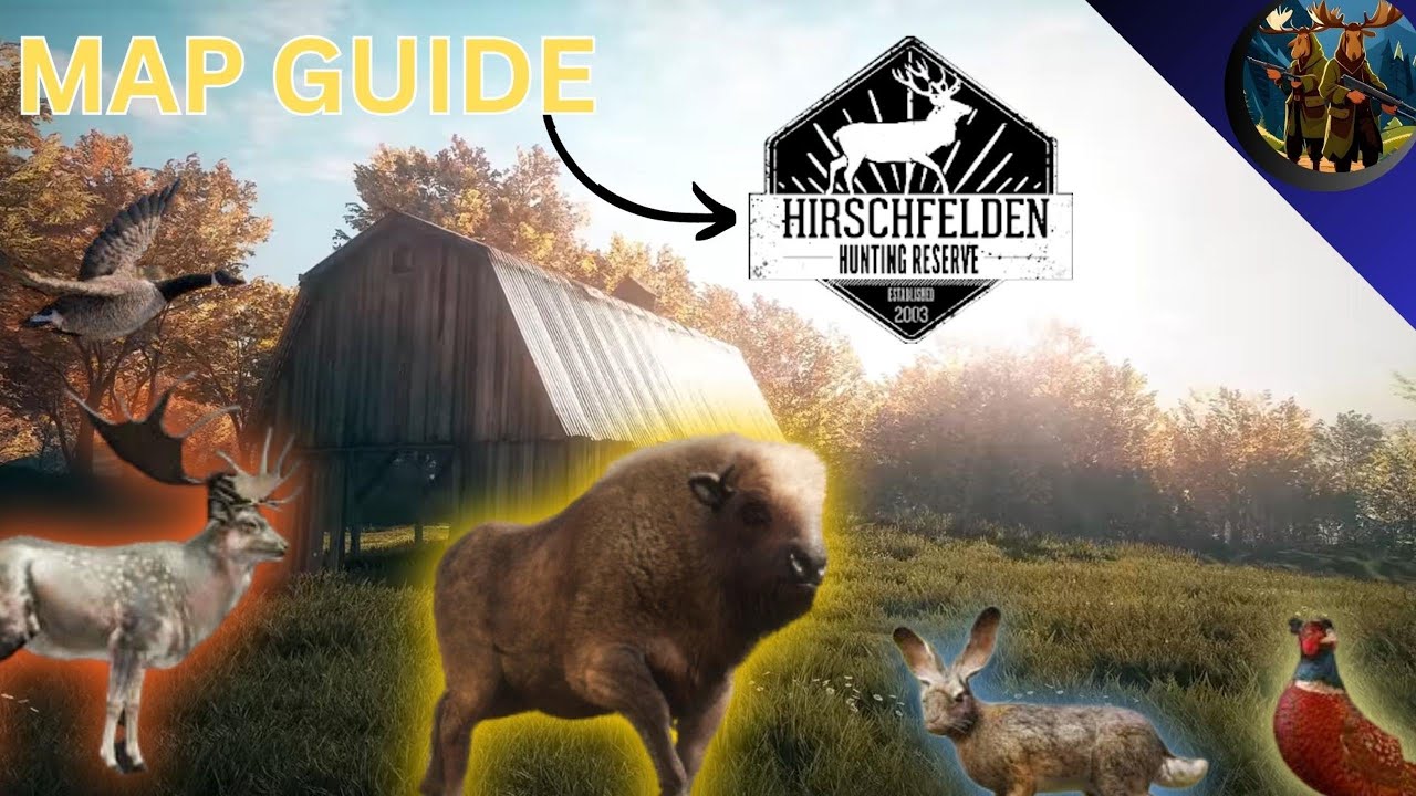 Hirschfelden Komplett Guide!! | The Hunter COTW - YouTube
