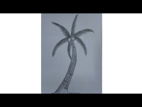 Coconut tree drawing easy tutorial | Narkel/Narkel gas drawing 🌴 - YouTube