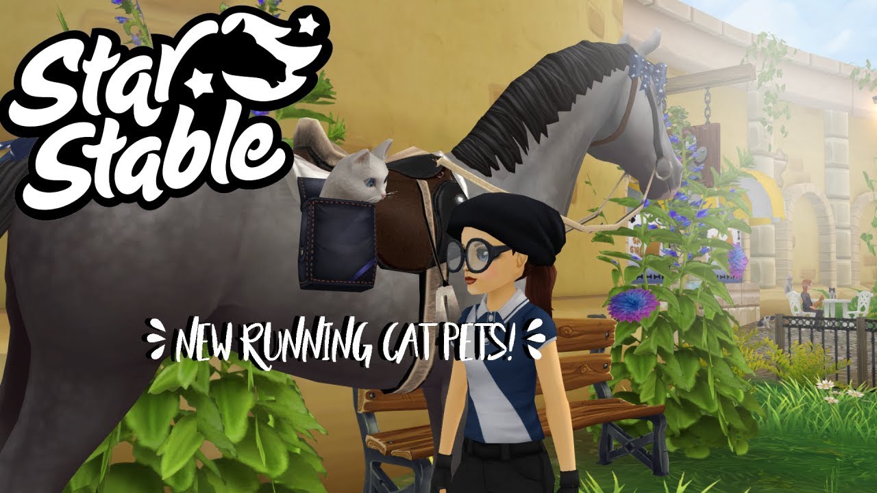 Star Stable Update | New Running Cat Pets!? | Buying two Cats! - YouTube