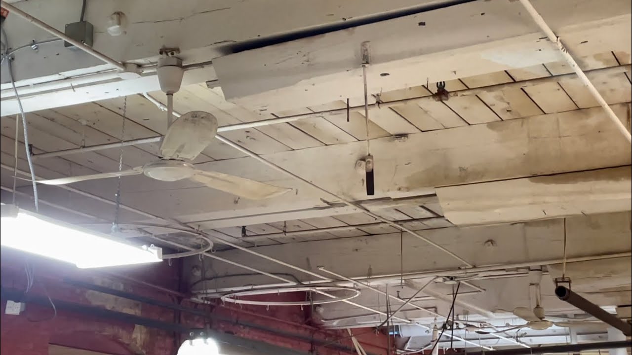 Banvil/Envirofan Silver Line Industrial Ceiling Fans 56” At A Warehouse ...