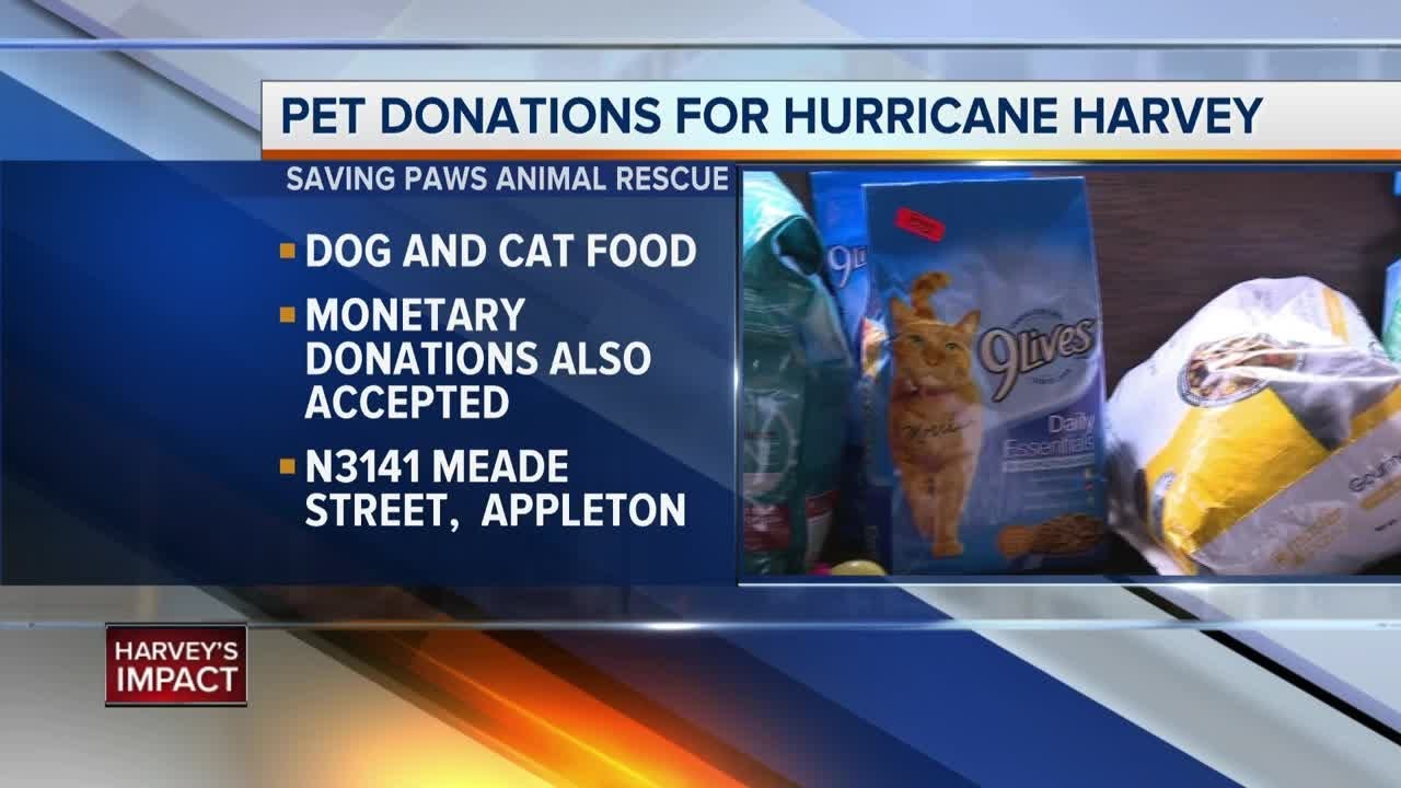Saving Paws Animal Rescue collecting donations for pets in Texas - YouTube
