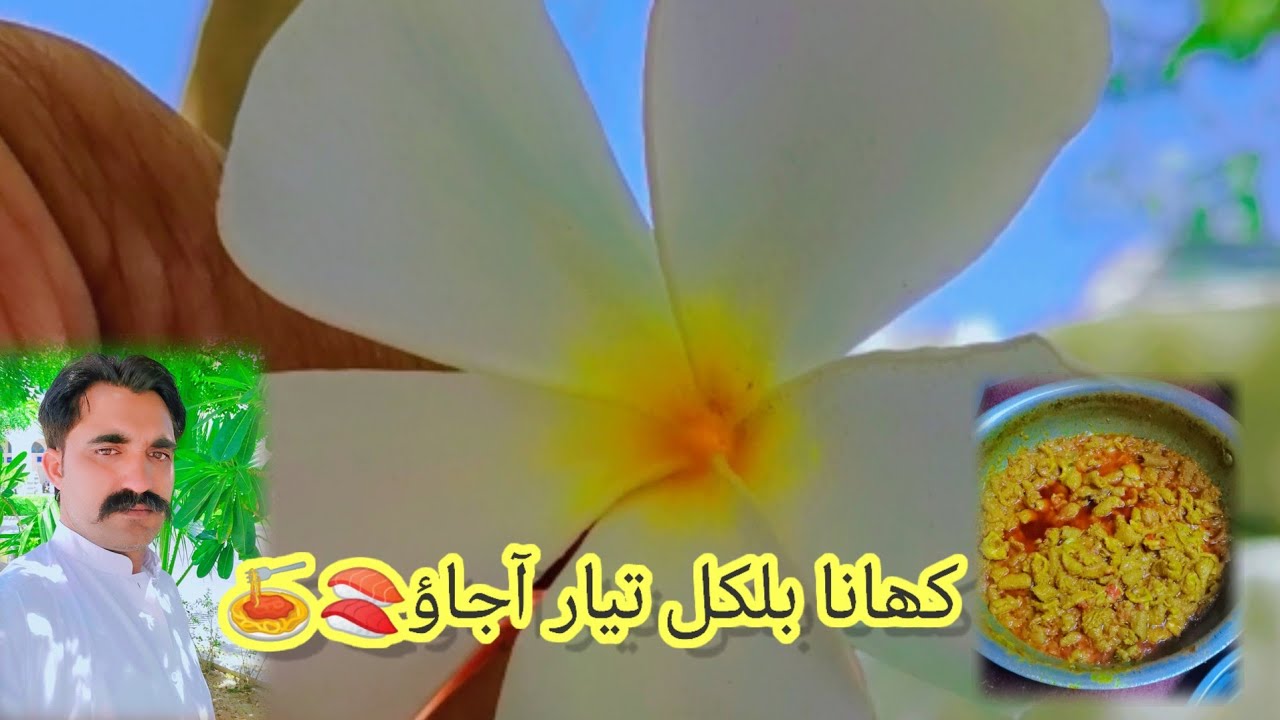 kam karne per bilkul Dil Nahin hai /My new vlogs in Pardesi #youtube ...