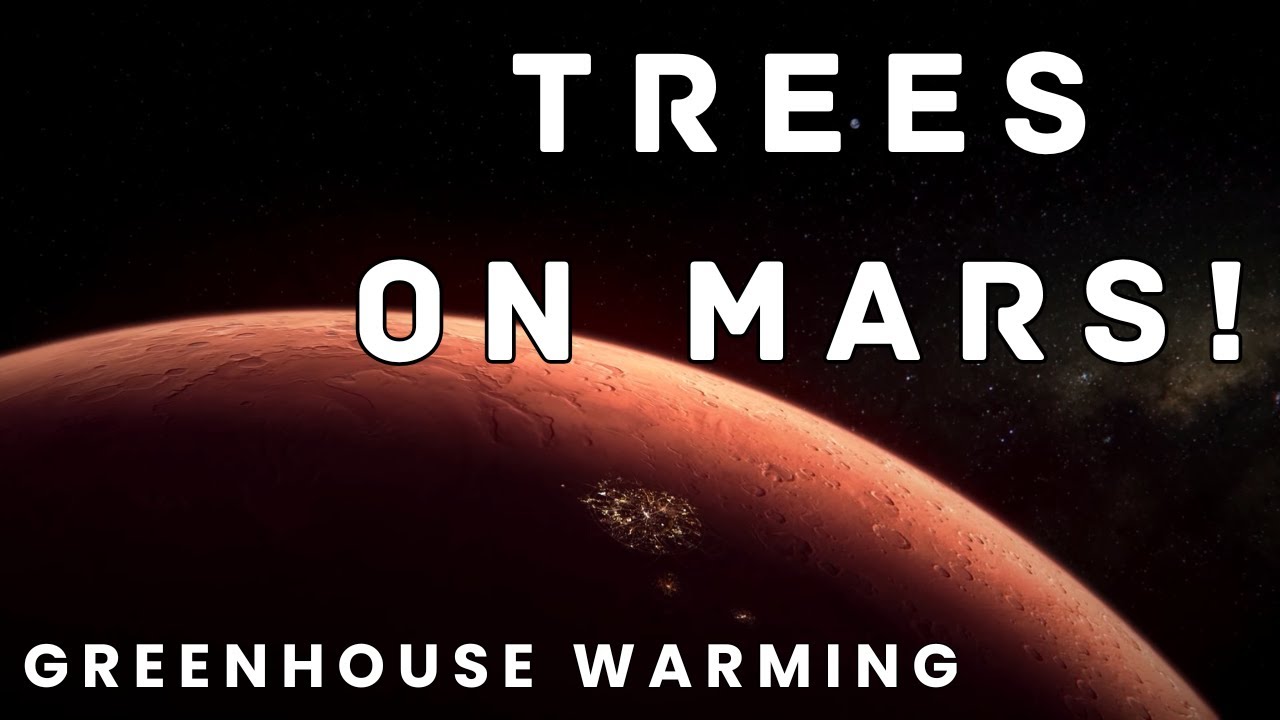 Could Trees Grow on Mars? New Study Reveals Where It Might Happen First ...