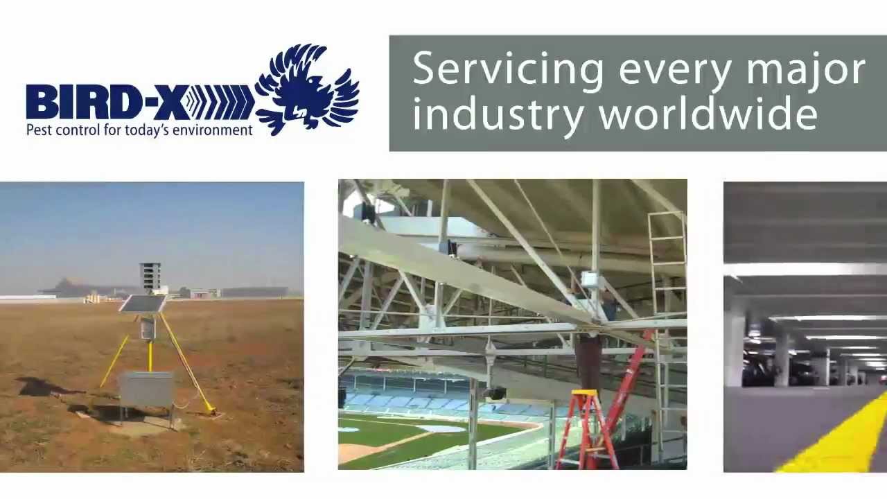 Bird-X Bird Control Experts - About Bird-X - YouTube